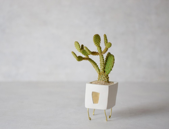 walk pot square (white) ウチワサボテ 一輪挿し・花瓶・花器 NULL PLANTS 通販｜Creema(クリーマ)