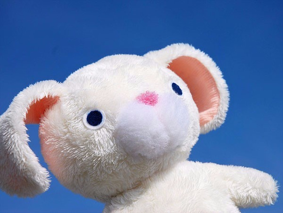 寝そべりしろうさ※受注製作となります ぬいぐるみ mofu mofu 通販 3119391｜Creema(クリーマ)