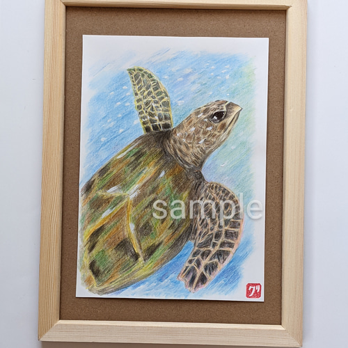 海亀 ホヌ 海亀イラスト 動物アート原画 手描き アニマルアート 海亀 ホヌ 海亀イラスト 動物アート原画 手描き アニマルアート