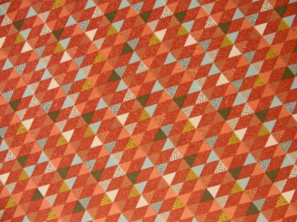 Moda PERSIMMON / PUMPKIN COOKIES / HARVEST CIDER 生地 Attic's Dragon 通販 ...