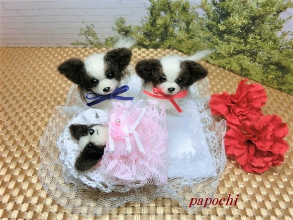 パピヨンファミリー 羊毛フェルト papochi 通販 5482895｜Creema(クリーマ)