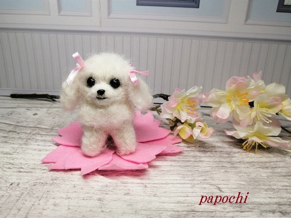 ちびシリーズ プードルサクラ 羊毛フェルト papochi 通販 8605471｜Creema(クリーマ)