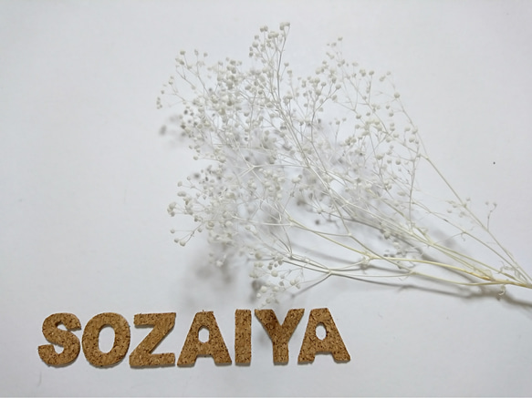 かすみ草 つぼみ 2g ホワイト プリザーブドフラワー その他素材 sozaiya 通販｜Creema(クリーマ) 3976073