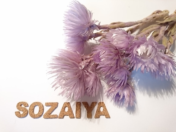 【残1】シルバーデイジー 5輪 ライトパープル ドライフラワー その他素材 sozaiya 通販 4200573｜Creema(クリーマ)