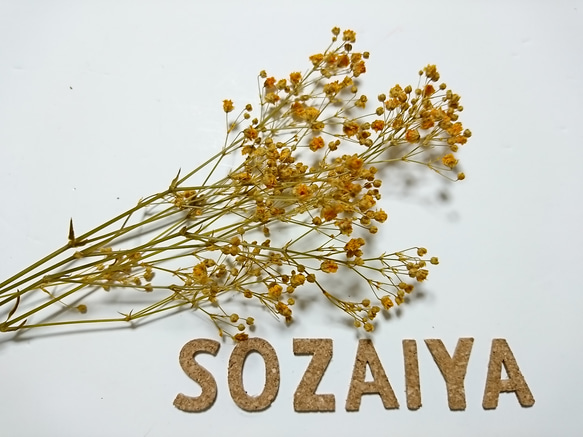 かすみ草 2g オレンジ プリザーブドフラワー その他素材 sozaiya 通販｜Creema(クリーマ) 5582498