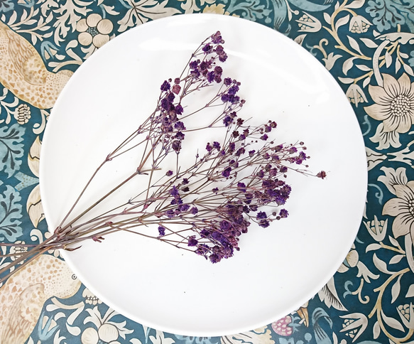 かすみ草 2g パープル プリザーブドフラワー その他素材 sozaiya 通販 5582505｜Creema(クリーマ)