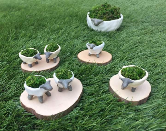 もりひつじ (まめ) 森と切り株セット 受注制作 その他置物 Refrappe/Kanna 通販 2237323｜Creema(クリーマ)
