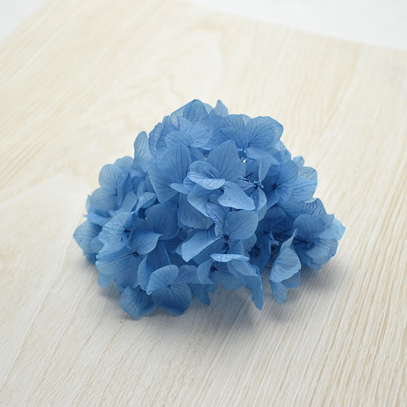 こわけ 【国産 ひめあじさい・コバルトブルー】みちのくあじさいや その他素材 ちいさなあじさいや 通販 5133436｜Creema(クリーマ)