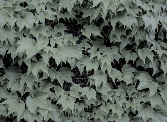 ご予約品専用ページ 項鍊 bright 的作品｜Creema 12713949