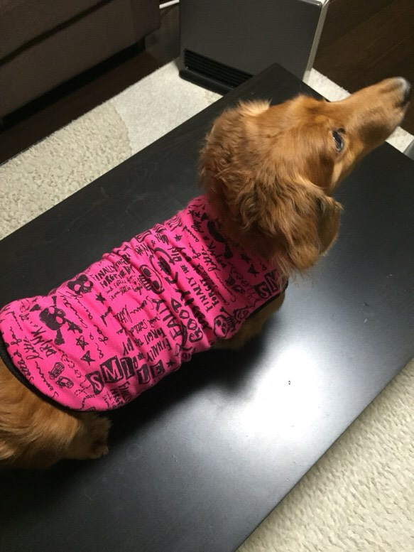 犬服！ドクロピンク⭐︎ XS.S.M.DXS.DS.DM ペット服・アクセサリー Etui de favoris♡ 通販 1725681 ...