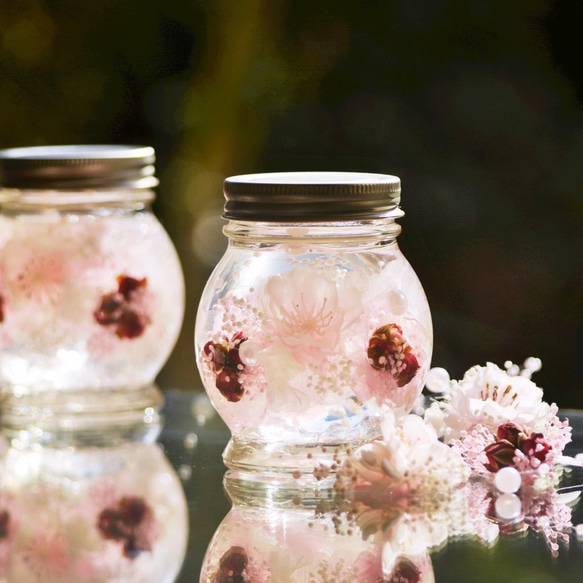 お家でお花見♪桜のハーバリウム（ラウンド）桜ハンドメイド2021 ハーバリウム・植物標本 yoshie 通販｜Creema(クリーマ)