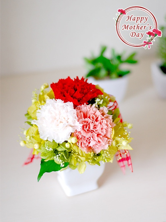 3色のカーネーションが織りなすプチプリザーブドフラワー プリザーブドフラワー 創作花屋花の音 通販 5545095｜Creema(クリーマ)