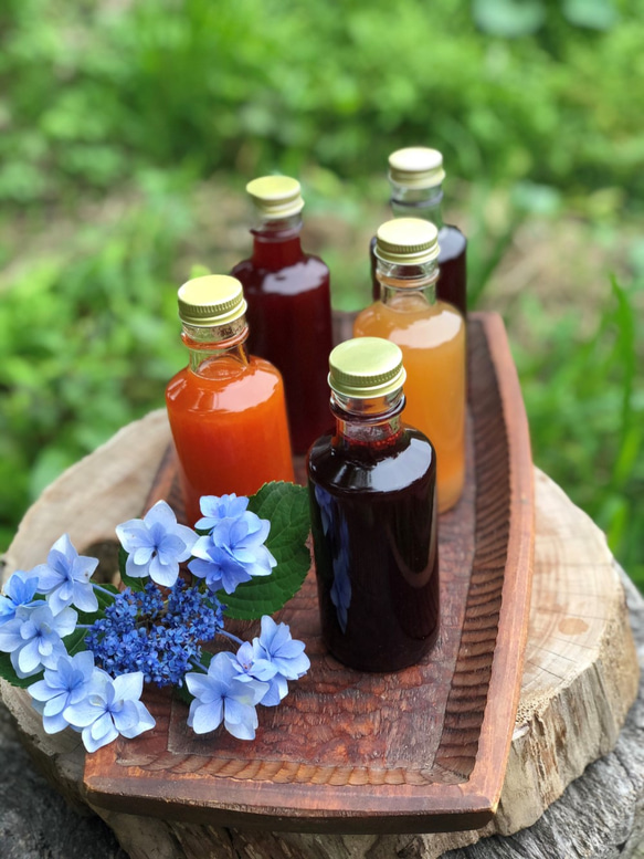 夏の贈り物 Hozu ままやのジュースの素3種類 セット(ママンチュール) ジャム・シロップ・はちみつ ままや 通販｜Creema(クリーマ ...