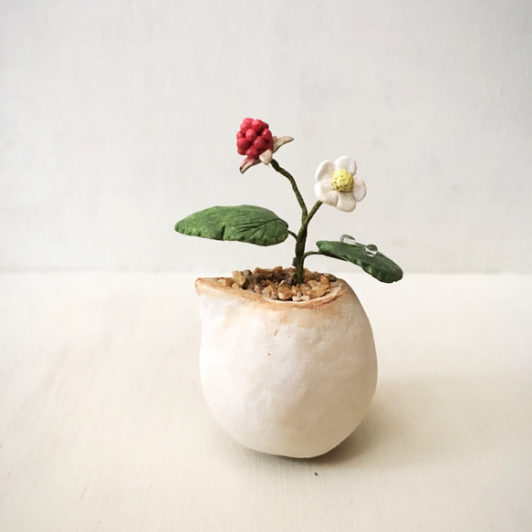 4118.bud 粘土の鉢植え 冬イチゴ その他インテリア雑貨 bud 通販｜Creema(クリーマ) 8513663