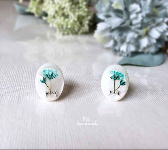 シェル×かすみ草押し花＊イヤリング イヤリング・ノンホールピアス pq. 通販｜Creema(クリーマ) 5658668