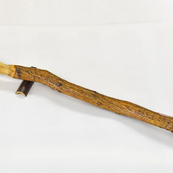 つた筆 特大 ペン・筆記用具 想山工房 通販 5184386｜Creema(クリーマ)