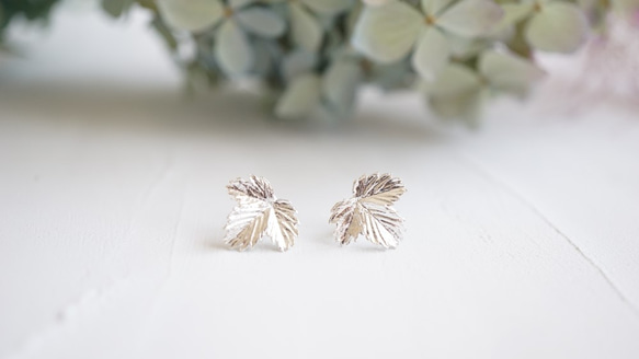 ワイルドストロベリーピアス silver ピアス（スタッド・一粒） sizkuiro 通販｜Creema(クリーマ)