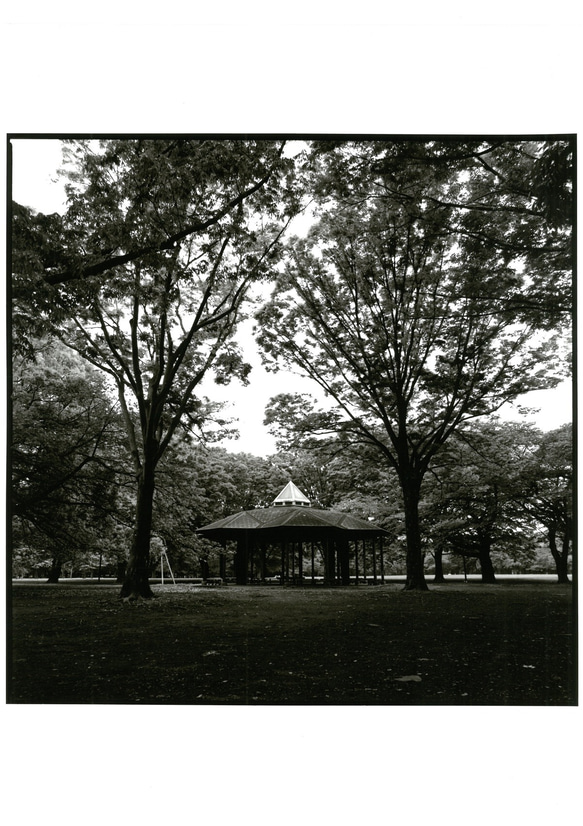 fairy_006 (ed.01) 写真・グラフィック isao 通販 5263162｜Creema(クリーマ)