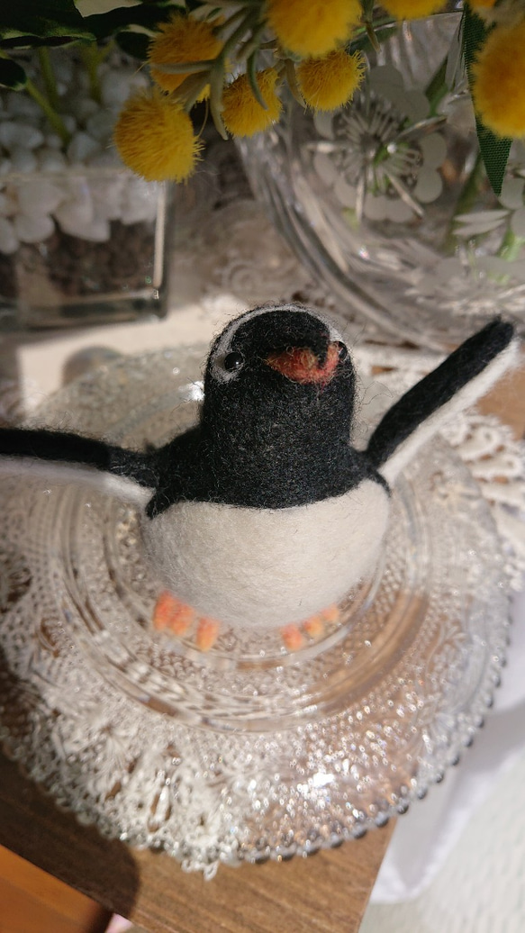 ジェンツーペンギン 【仰ぐ】 羊毛フェルト pen-pen-pen,s 通販 11455679｜Creema(クリーマ)