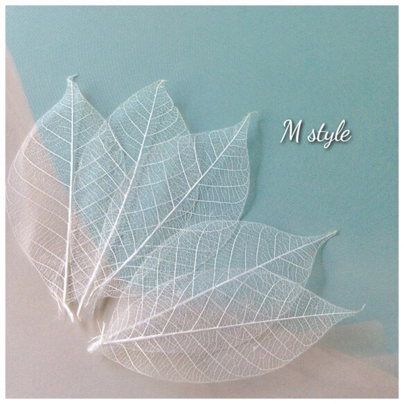 自然素材♡スケルトンミニリーフ その他素材 森のお花屋さん 通販｜Creema(クリーマ) 1461092