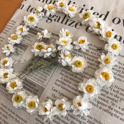 花かんざし ドライフラワー 31輪 ドライフラワー 葉つみ 通販 花かんざし ドライフラワー 31輪 ドライフラワー 葉つみ 通販