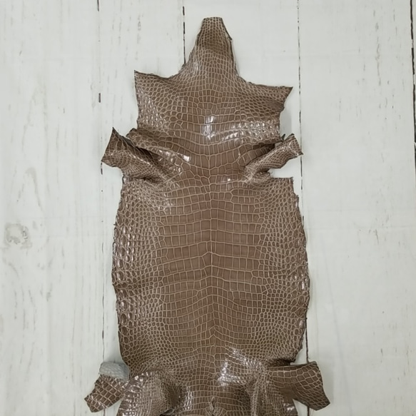 ワニ革 クロコ グレージング(艶) ナツメグ No.C002115 その他素材 エキゾチックレザー 通販｜Creema(クリーマ) 12234567