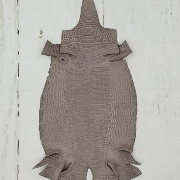 ワニ革 半艶マット グレージュ No.C002545 その他素材 エキゾチックレザー 通販 12570811｜Creema(クリーマ)