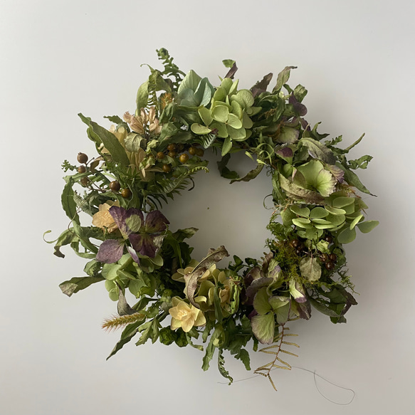 秋の実りのリース ドライフラワー Petit chocolat 通販｜Creema(クリーマ)