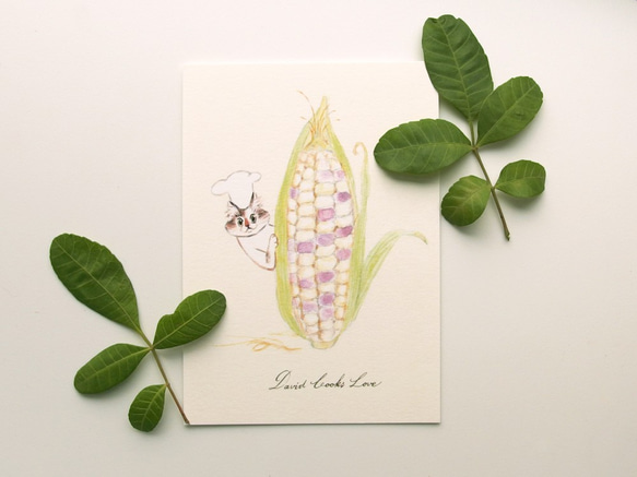 David Cook Love / DavidCooksLove - はがき6_もち米コーン（イラストレーター/手描き/台湾イ イラスト 大衛 ...