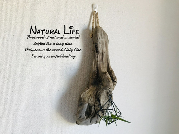 流木のお洒落なホルダー 壁掛けフック⁎ プランター エアプランツ インテリア 一輪挿し・花瓶・花器 Natural Life 通販 ...