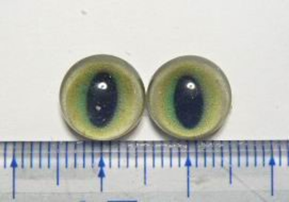 にゃんこのおめめ 半球グラスアイ 猫目 10mm 10440 その他素材 にゃんこのおめめ 通販 5132521｜Creema(クリーマ)