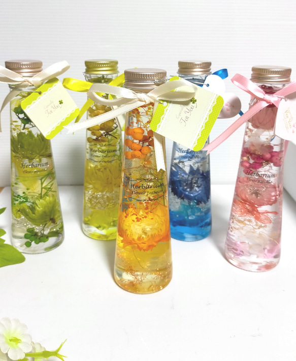 オレンジ♡フルーツカラーのフレッシュ・ハーバリウム ハーバリウム・植物標本 Ānuenue 灯里 通販｜Creema(クリーマ)