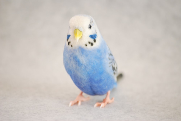 ノワ様オーダーメイド品 1802251 羊毛フェルト Primary Color Craft 通販｜Creema(クリーマ) 5292785