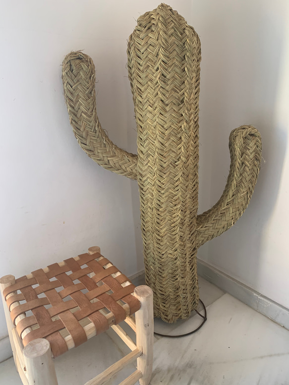 モロッコ サボテン カクタス オブジェ インテリア 雑貨 その他インテリア雑貨 Boawid モロッコ インテリア雑貨 通販 11611354 ...