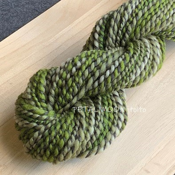 (12) アートヤーン・Gimp Yarn・グリンティB 毛糸 PETAL MOON itoito 通販 6522967｜Creema(クリーマ)