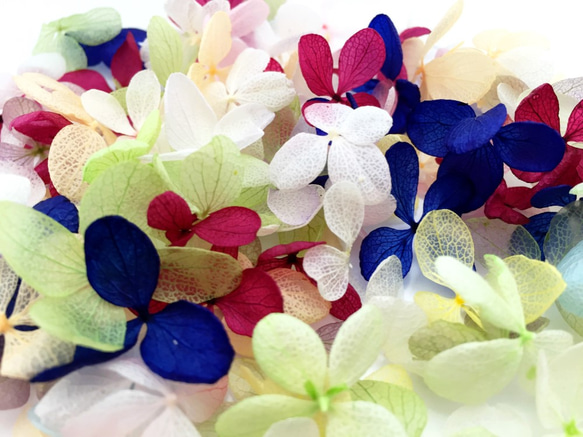 あじさい(花びらミックス)プリザ-ブドフラワー小分け（D）：243 その他素材 MY LIFE 空間 通販｜Creema(クリーマ) 2108080