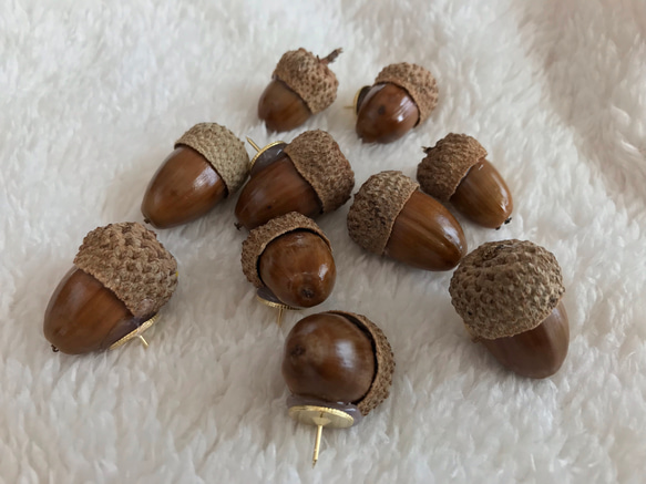 天然素材 どんぐりのプッシュピン（画鋲）10個セット その他雑貨 ちゅるクラフト 通販 8044430｜Creema(クリーマ)