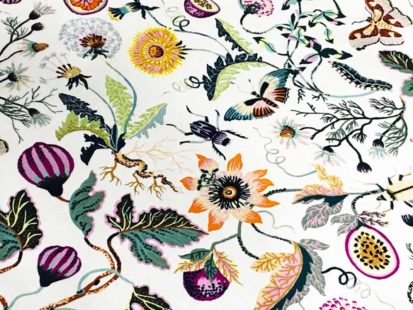 Sarah Gordon 110cm x 50cmずつ切売 - 食物連鎖/White 生地 nightowl fabrics 通販 ...