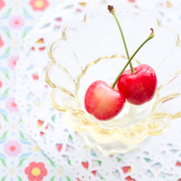 お取引終了作品 ぬいぐるみ Studio MoCa 通販｜Creema(クリーマ)