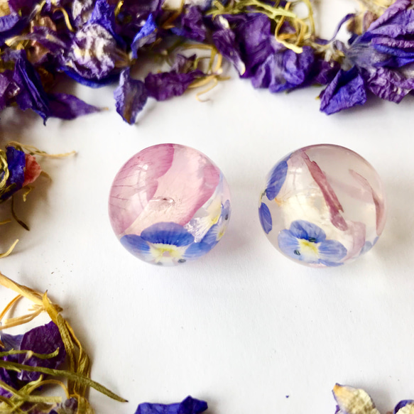 予約商品 本物の桜が入った ピアス/イヤリング ピアス（スタッド・一粒） Sunny Scent 通販 5494605｜Creema(クリーマ)