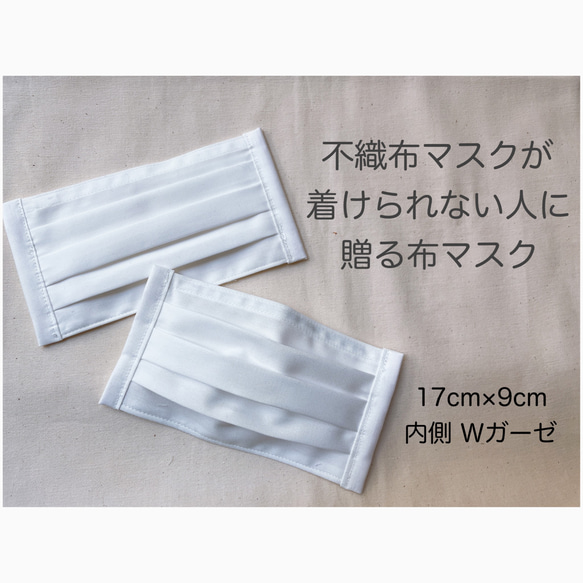 不織布マスク風 洗える白プリーツマスク お肌の弱い方に使って欲しい 内側ガーゼ フィルターポケット&ノーズワイヤー 布マスク 横地 通販 ...