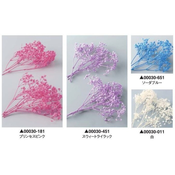 大地農園！プリザーブドフラワー 約10g分【カスミソウ ミリオンスター 選べる4色】プリザ カスミ草 カスミソウ 花材 その他素材 カイセイ ...