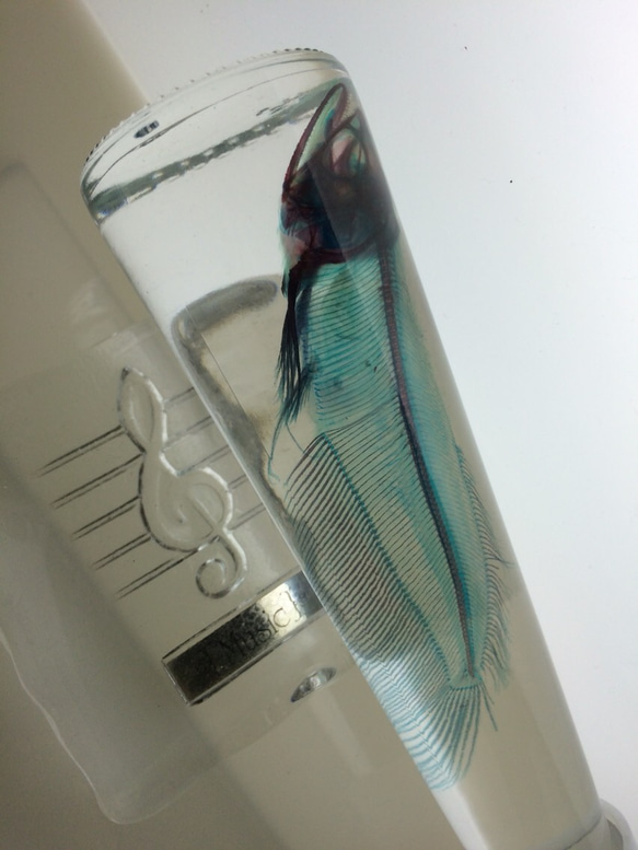 アロワナ透明標本 その他雑貨 カイセイ加工透明屋パク 通販 2352122｜Creema(クリーマ)