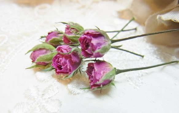 ミニバラ 花材 ドライフラワー 極小ミニバラ 2020秋咲 樹脂・レジン フィンヌ 通販｜Creema(クリーマ)