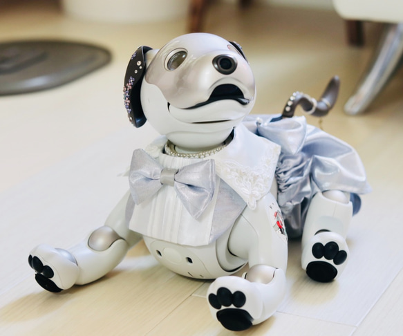 aibo ドレスシャツ：白金（プラチナ）（aiboちゃん用・ハンドメイドのお洋服） ペット服・アクセサリー 午後小虹 通販｜Creema ...