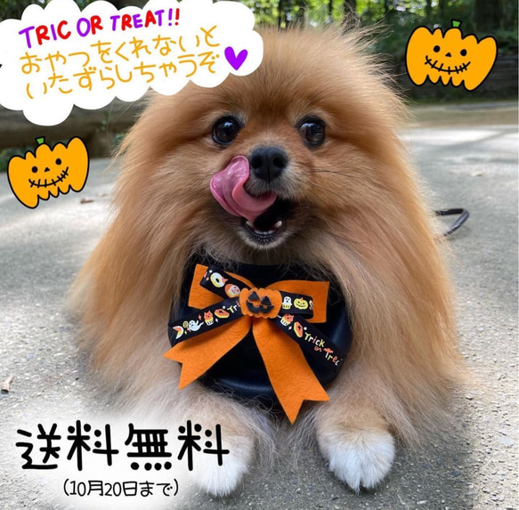 犬服♡ハロウィン スタイ ペット服・アクセサリー ぽんずくろーぜっと🐾 通販｜Creema(クリーマ)