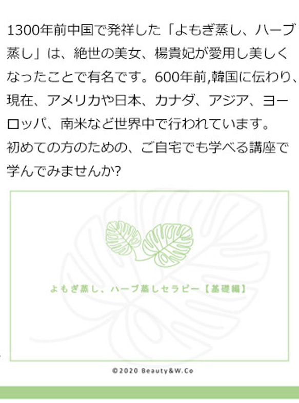 よもぎ蒸しハーブセラピー専用ハーブテント(2重)一式 & 専用マント《全6点/2色》【サロン開業講座/ディプロマ発行付☆ その他インテリア雑貨 ...