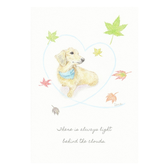 ＊モミジバフウとミニチュアダックス＊ 選べるイラストポストカード3枚組セット No.11 イラスト うめ 通販 11562160｜Creema ...