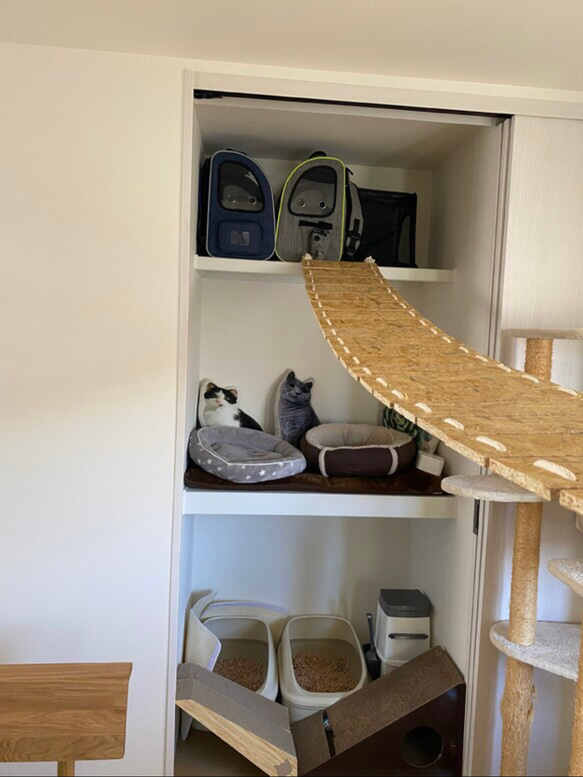 キャットウォーク ＊必ず説明文を読んでください！！ おもちゃ・ペット小物 ハンドメイドSHOP-KICHI 通販 12643721 ...