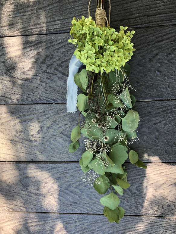 アナベルとポポラスユーカリのスワッグ スワッグ liberta 通販｜Creema(クリーマ)